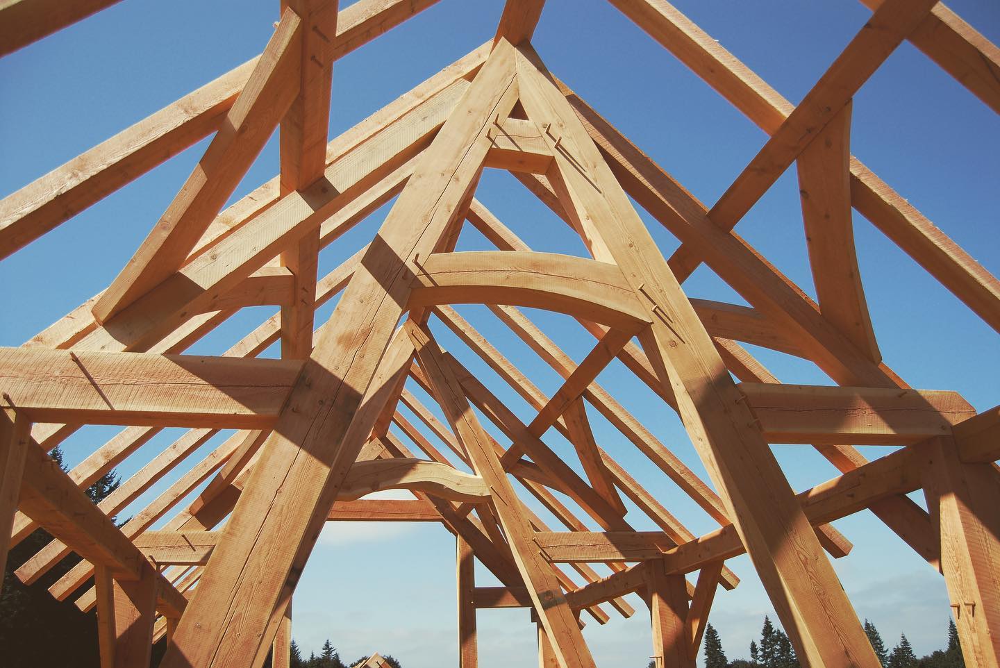 Built to Last: Collin Beggs Timber Houses - WOODWORKING IDEAS DAILY
